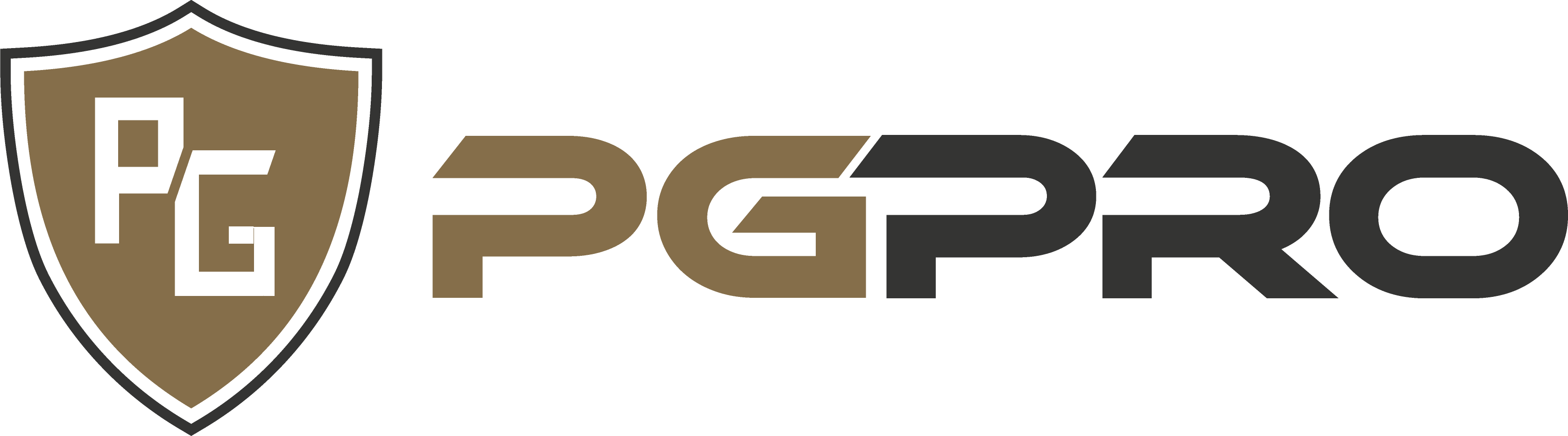 PGPro - Panoramic Software, Inc.